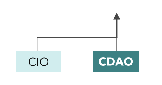 Navigating the Data-Driven Economy – Kepler Cannon